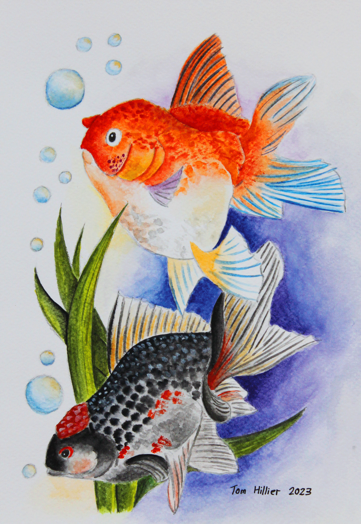 ‘Race the Dragon’ 2023 – Tom Hillier